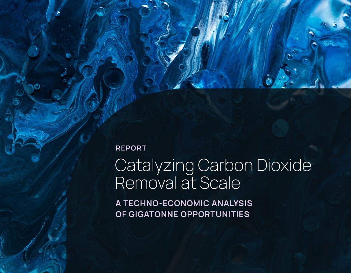 Industry Report | Catalyzing Carbon Dioxide Removal at Scale